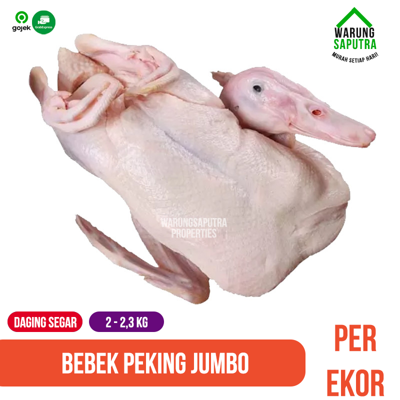 Jual Bebek Peking Besar Jumbo Frozen Ukuran 2 - 2,3 Kg per ekor Utuh ...