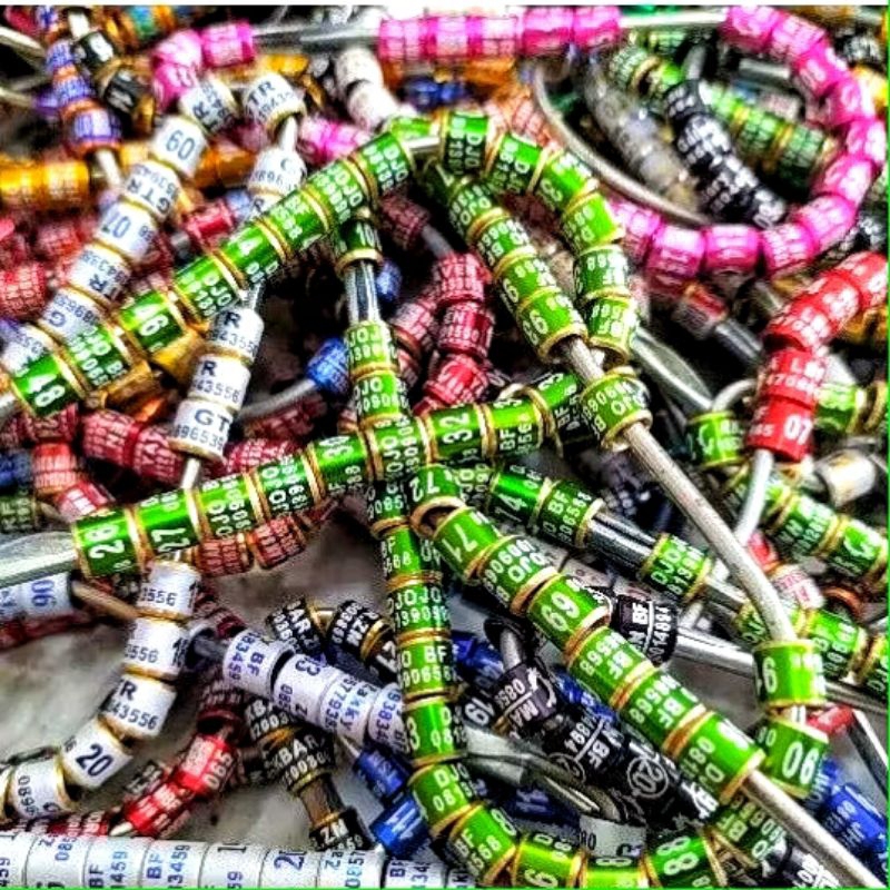 Jual RING BURUNG SUDAH ADA NAMA RETUR MURAI,CENDET,KENARI,BRANJANGAN ...