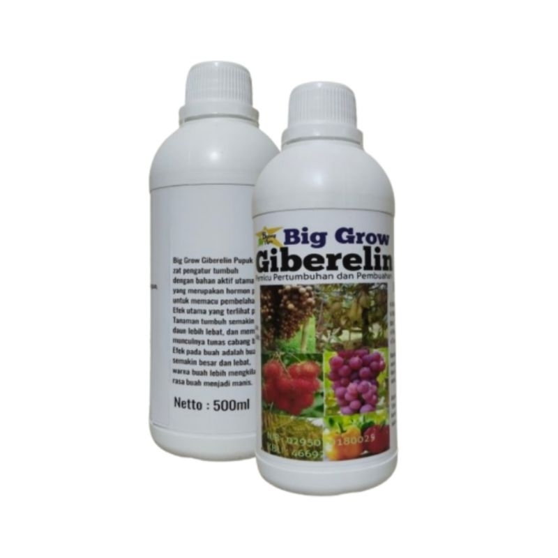 Jual Big Grow Giberellin Pupuk Pemacu Bunga dan Buah/Biggrow plus ZPT ...