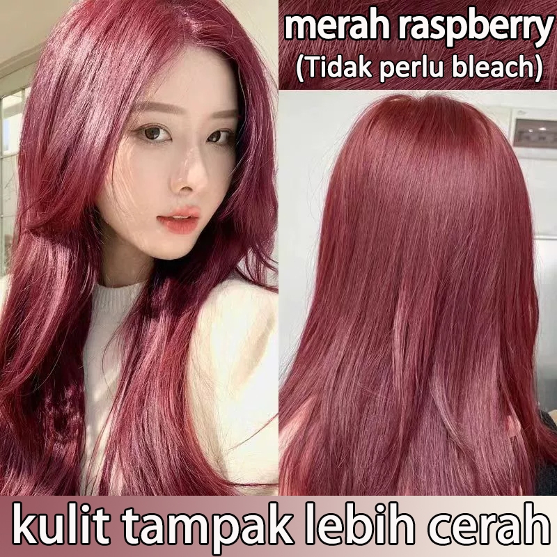 Jual 【Pengiriman cepat】STYLE FIT cat rambut merah raspberry*200ml Tidak ...