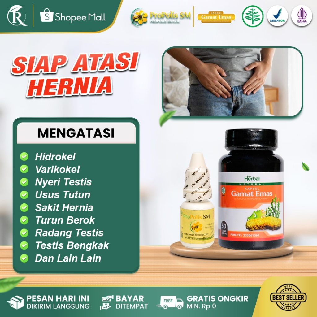Jual Obat Hernia, Turun Berok, Usus Turun, Usus Keluar, Testis Besar ...