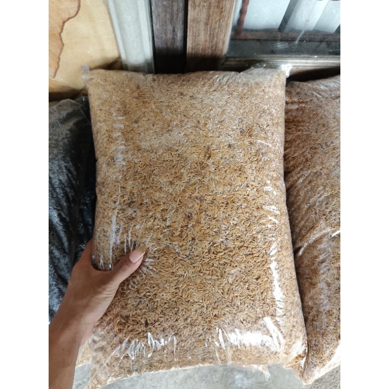 Jual Media tanam sekam padi,merang,cangkang padi 3kg | Shopee Indonesia
