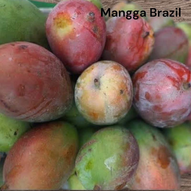 Jual Mangga Muda Mangga Mengkel Mangga Brazil I Apel | Keong ...