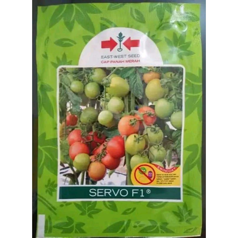Jual Benih tomat SERVO F1 1750 butir | Shopee Indonesia