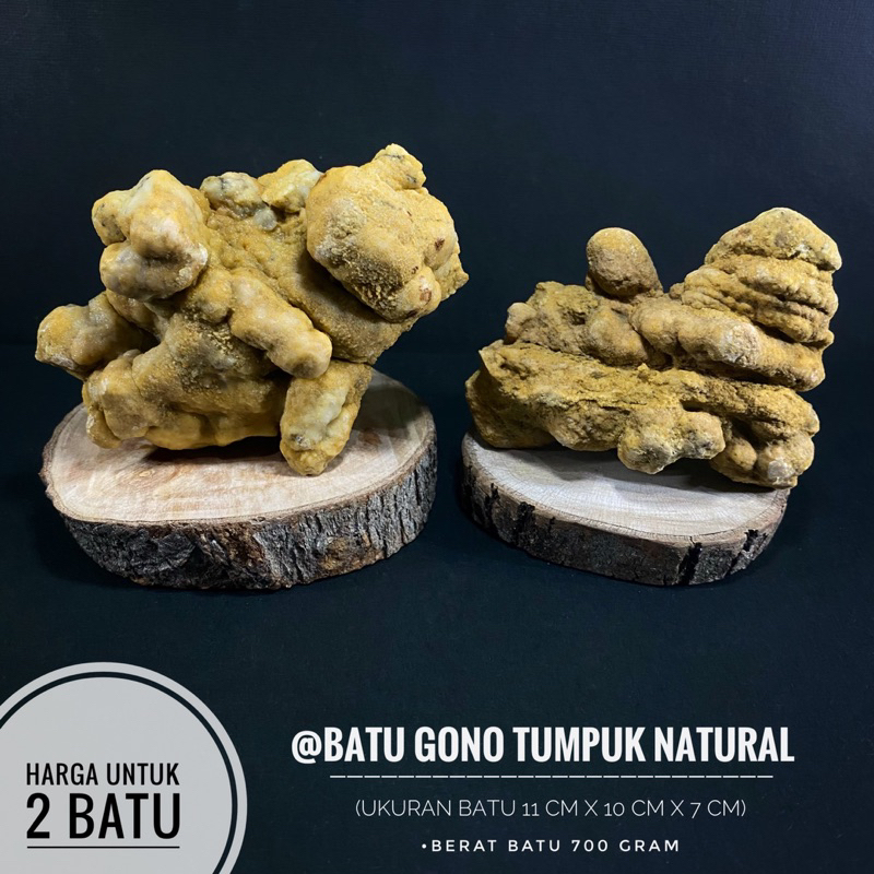 Jual Batu Gono Tumpuk Natural C39 atau Batu Gono Alam atau Fosil Jamur ...