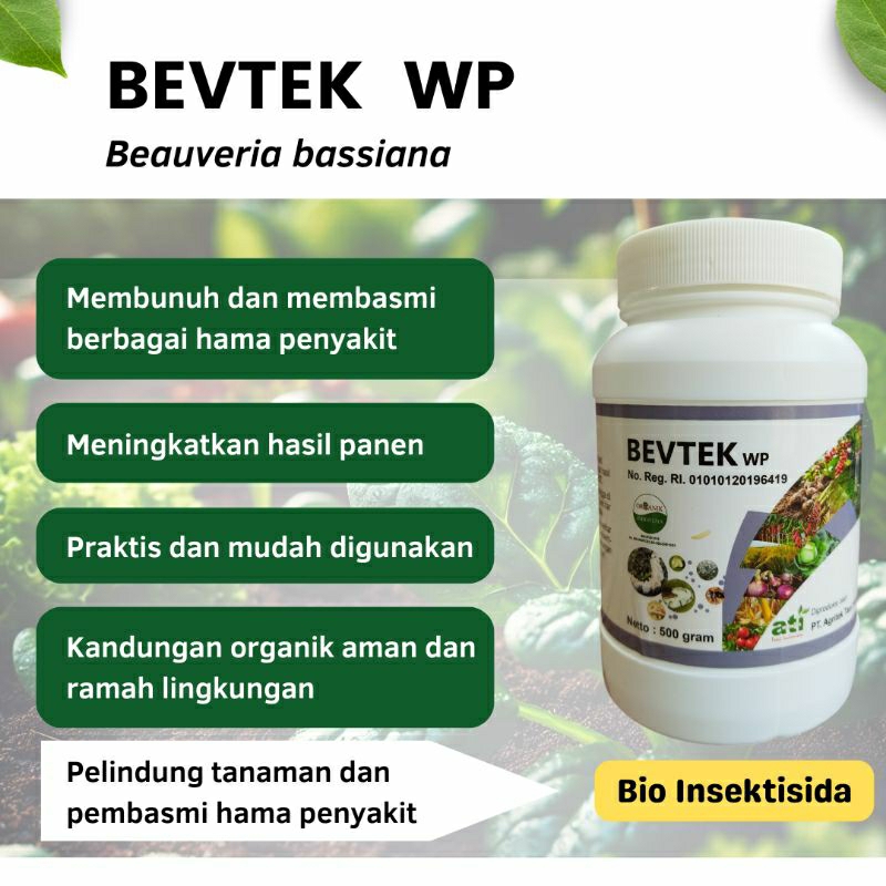 Jual Insektisida Organik - Beauveria Bassiana 50 gr | Shopee Indonesia