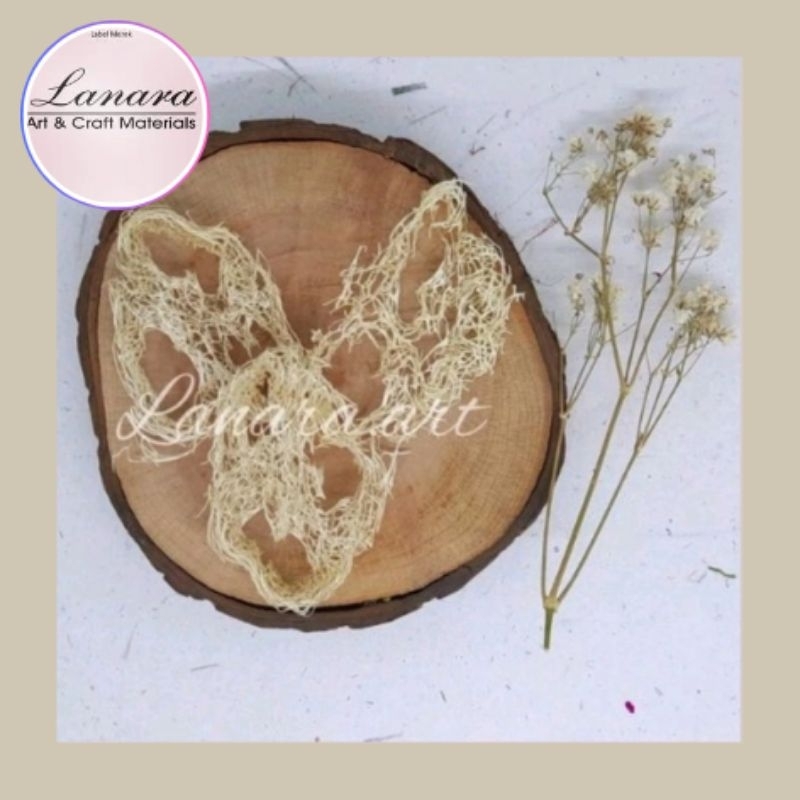 Jual Gambas Natural Bahan Prakarya Kerajinan Craft Properti Foto ...