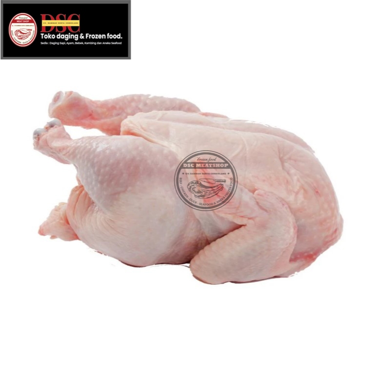 Jual Ayam Utuh 1 Ekor 1kg | Shopee Indonesia