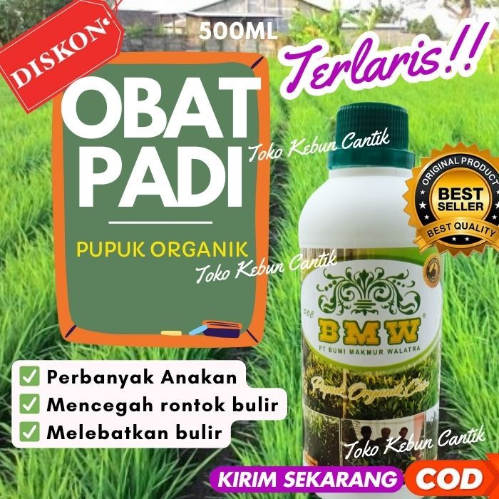 Jual OBAT PADI KERDIL DAUN KUNING TERBAIK Pupuk Padi Daun Kuning/Virus Kuning/Busuk Buah Padi ...