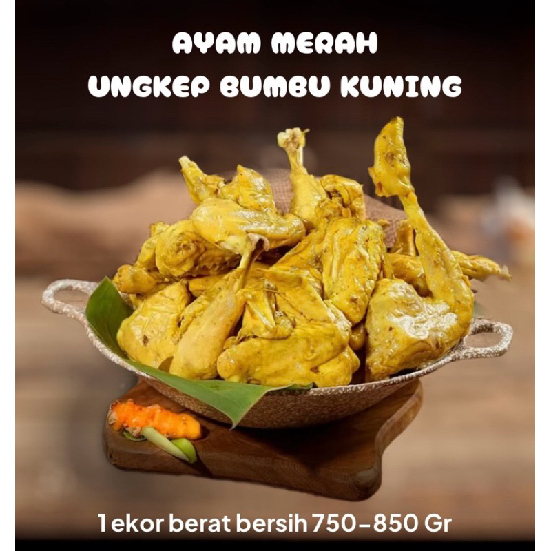 Jual Dada+Paha Ayam Merah (ungkep) | Shopee Indonesia