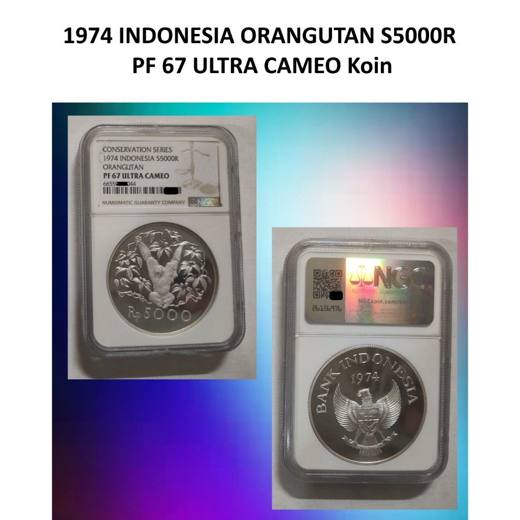 Jual INDONESIA ORANGUTAN S5000R PF 67 Barang Hobby/Kegemaran | Shopee ...