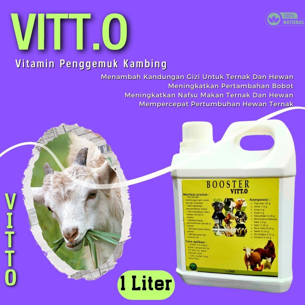 Jual Vitamin Kambing Cepat Besar – Nafsu Makan Nambah & Daya Tahan Kuat ...