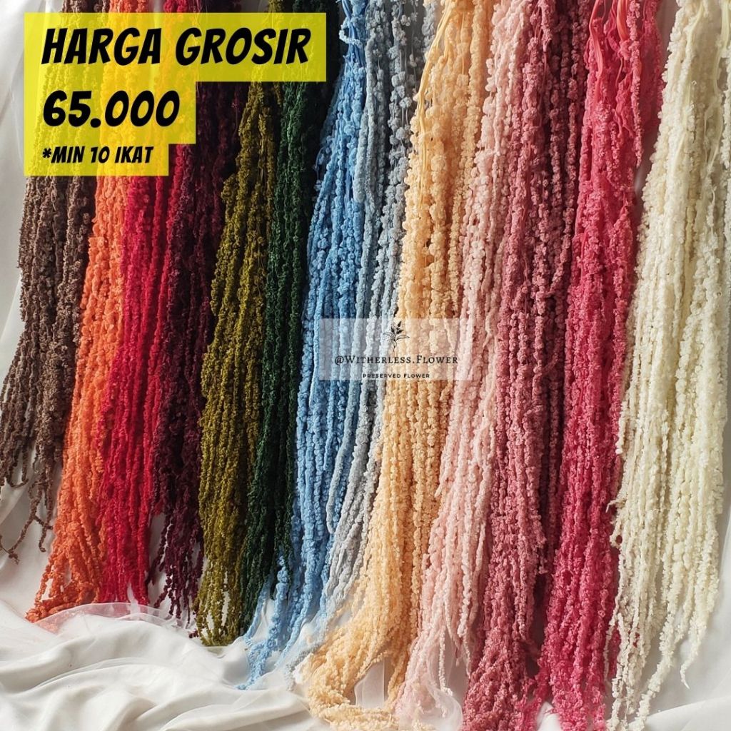Jual 1 Bunch Preserved Amaranthus / Dried Flower Awetan / Bunga Kering ...