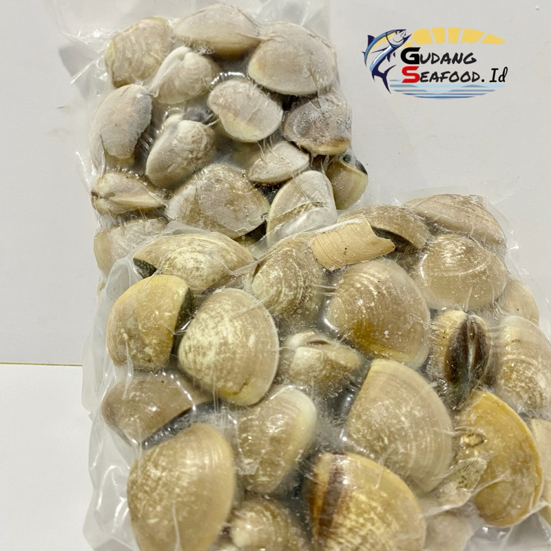 Jual KEPAH PUTIH 25-30 KEPING/KG | Shopee Indonesia