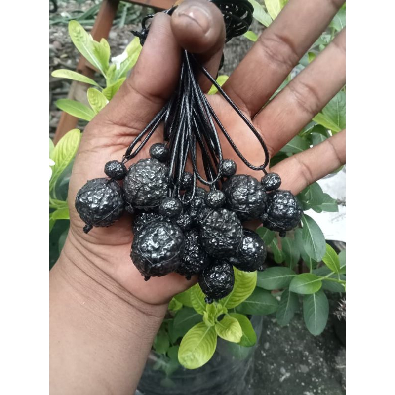 Jual liontin batu badar besi purut | Shopee Indonesia