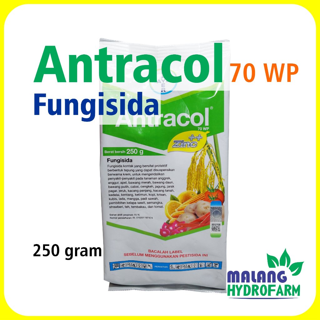 Jual Fungisida Antracol 70 WP + Zinc 250 gram Pestisida obat fungi hama ...