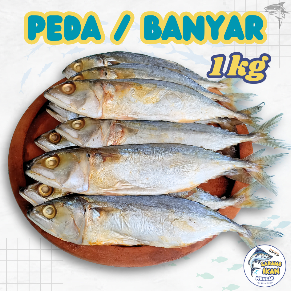 Jual IKAN PEDA / KEMBUNG BANYAR BESAR & JUMBO 1 Kg | Shopee Indonesia