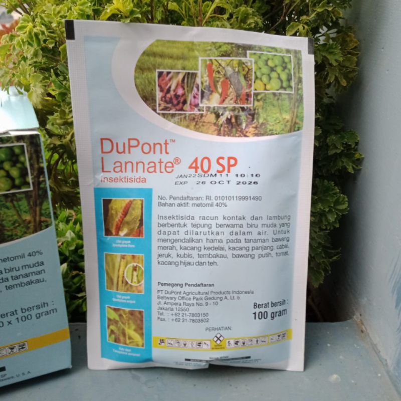 Jual Dupont Lannate 40SP 100gr - Insektisida | Shopee Indonesia