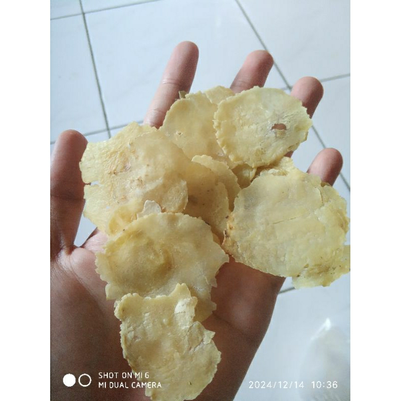Jual EMPING MELINJO ASLI LIMPUNG || SP (BIJI 1 /DUA) || GRADE B || 1kg ...