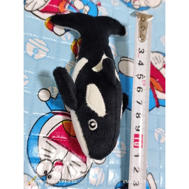 Jual BONEKA PAUS LUCU (BARU) | Shopee Indonesia