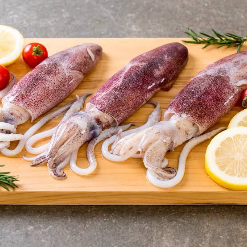 Jual Cumi-Cumi Fresh 250gr | Shopee Indonesia