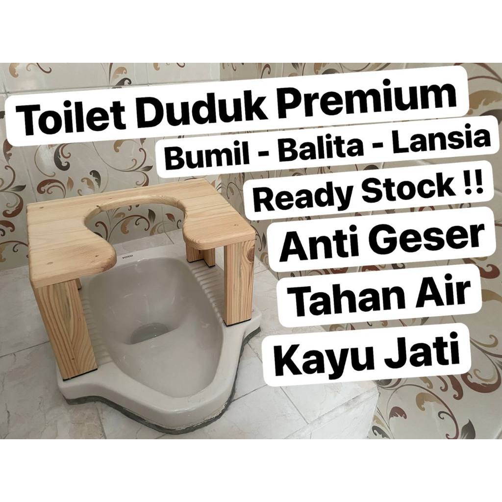 Jual Toilet Balita kursi Toilet Kursi Duduk kursi pasca operasi Toilet ...