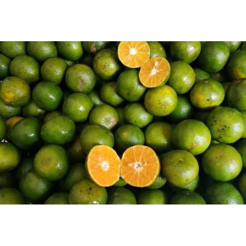 Jual Jeruk Peras fresh 1 kg | Shopee Indonesia