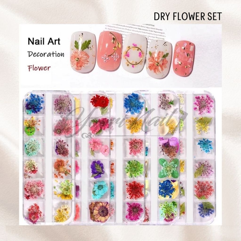 Jual Dry Flower Nail Art Hiasan Kuku Bunga Kering 12 Warna Dried