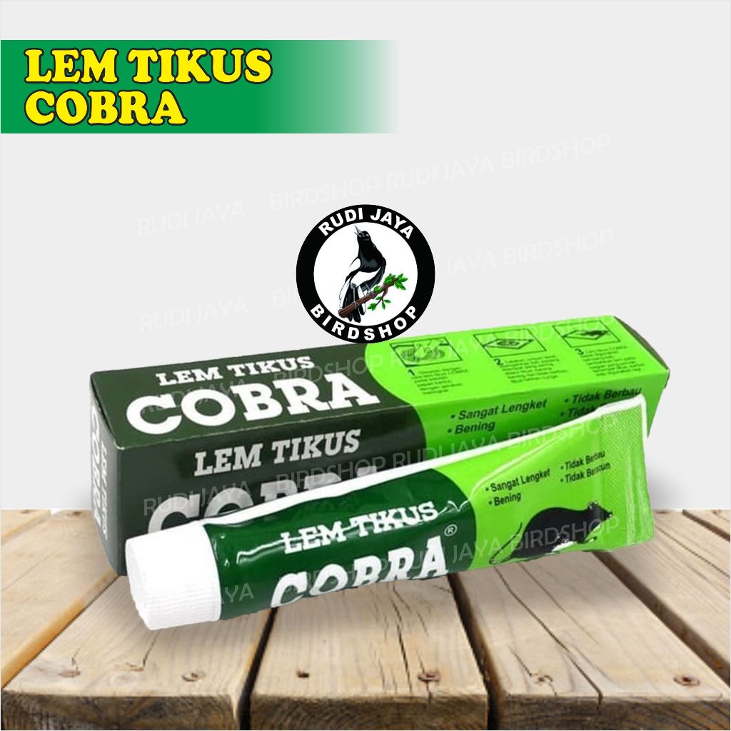 Jual LEM TIKUS COBRA KOBRA SUPER LENGKET BANYAK ISI MURAH JEBAKAN ...