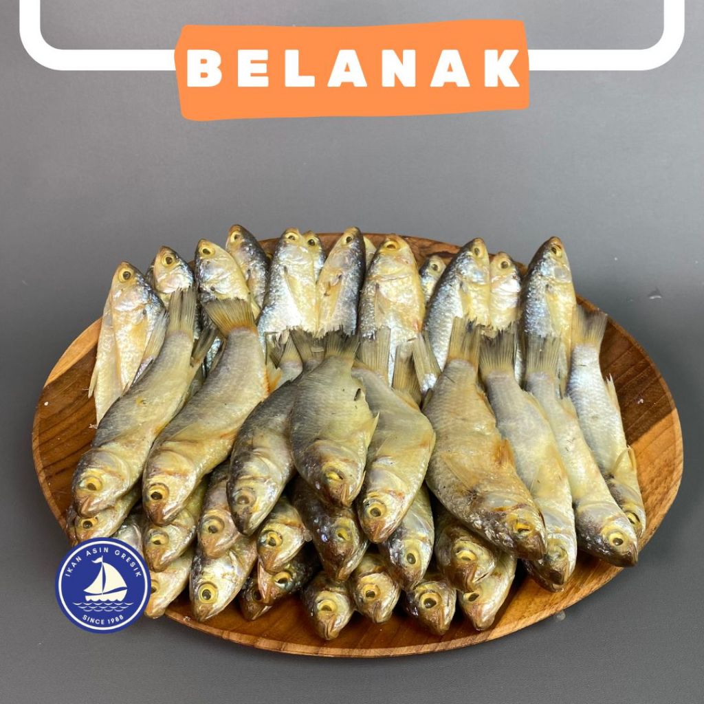 Jual Ikan Asin Gresik Belanak Gerih Asin Kemasan 500gram | Shopee Indonesia