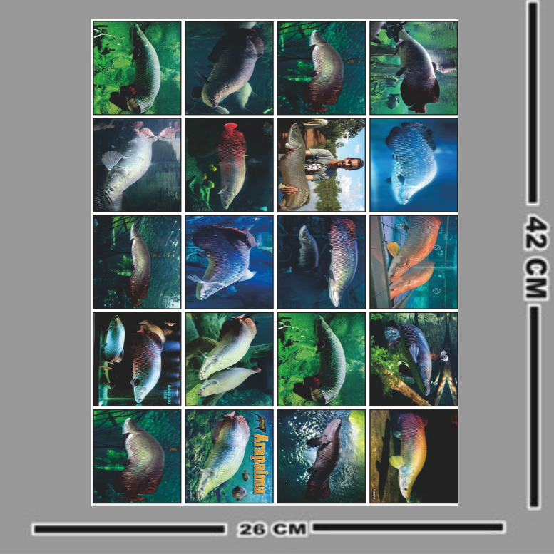 Jual stiker gambar ikan chana,cupang,balida isi 20gambar/pcs ukuran 42 ...