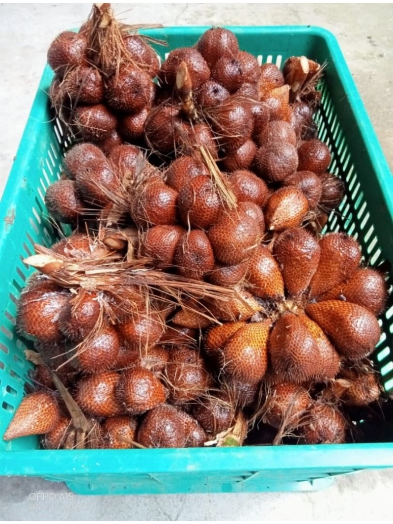 Jual Buah Salak Pondoh fress / Ukuran sedang-besar /harga per 1kg ...
