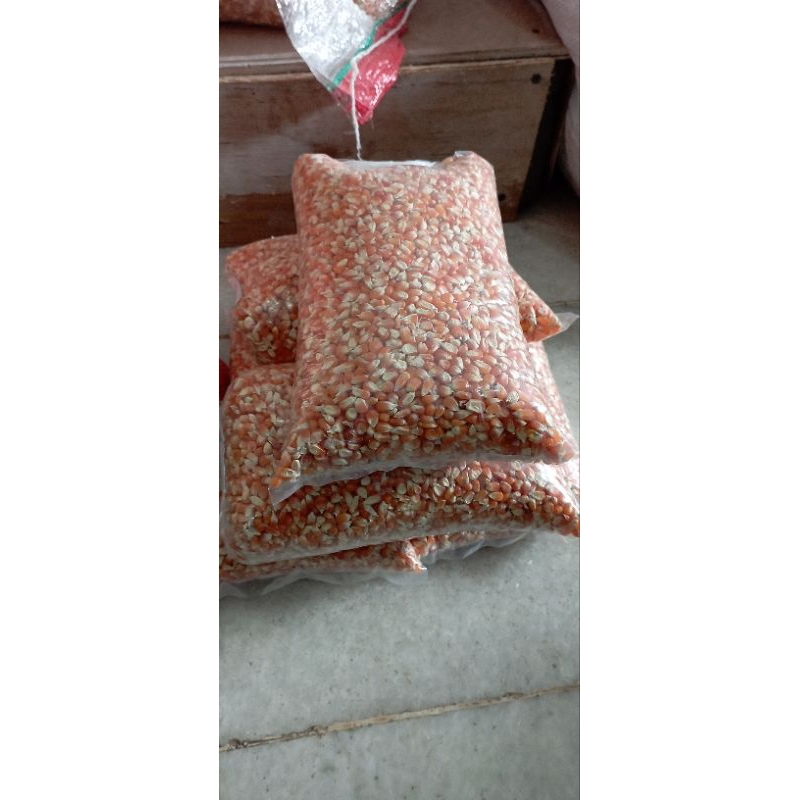 Jual jagung pakan burung merpati/ dara kecil 5kg | Shopee Indonesia