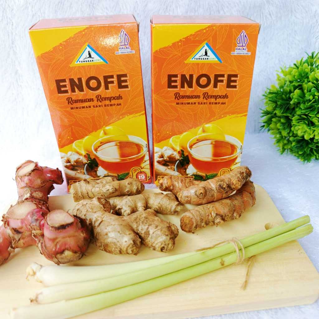 Jual PAKET DUO BOX ENOFE / Teh Detox / DIET / RESEP ULTIMATE JSR ...