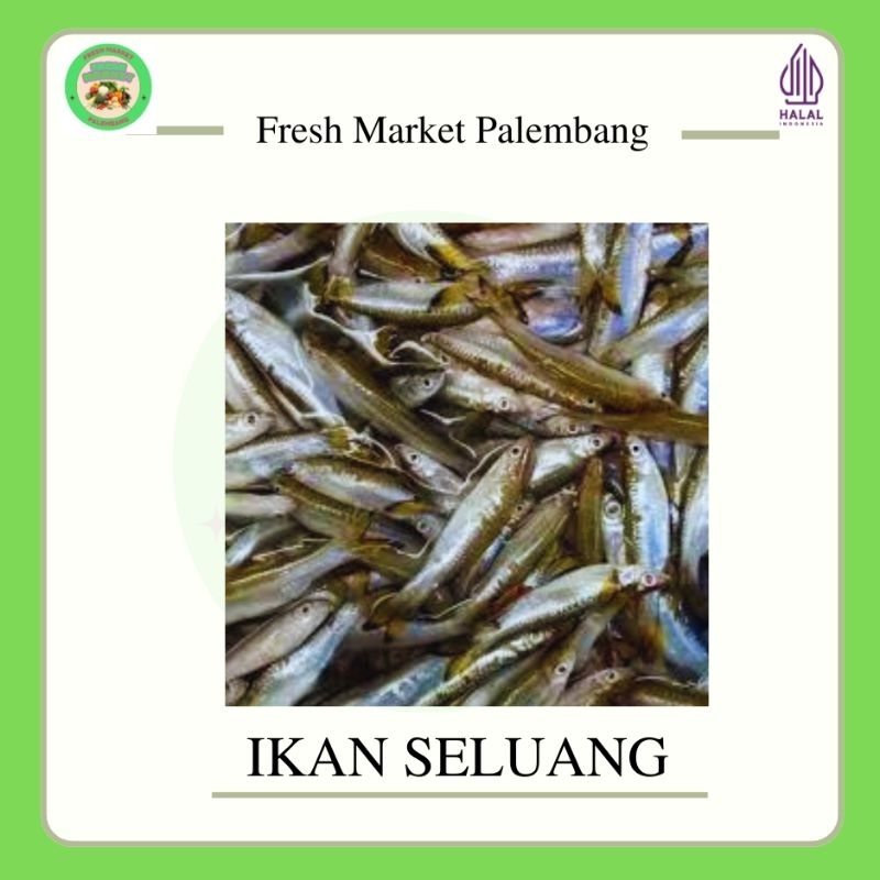 Jual Ikan SELUANG -Fresh Market Palembang- | Shopee Indonesia