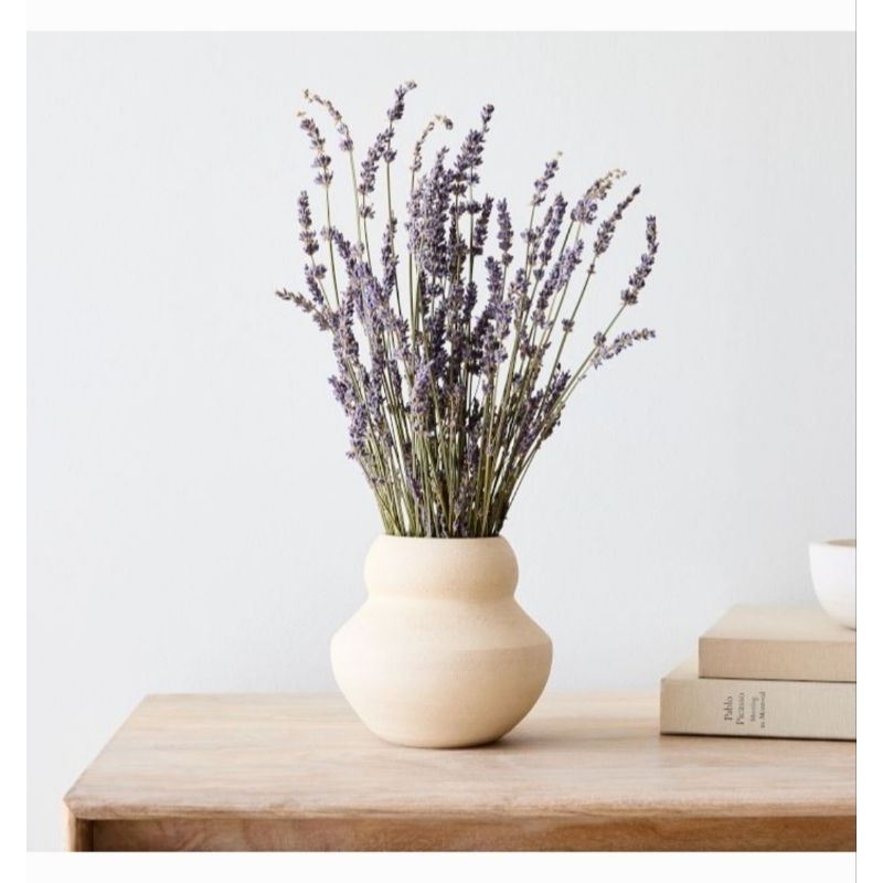 Jual Bunga lavender kering , dried flower lavender | Shopee Indonesia
