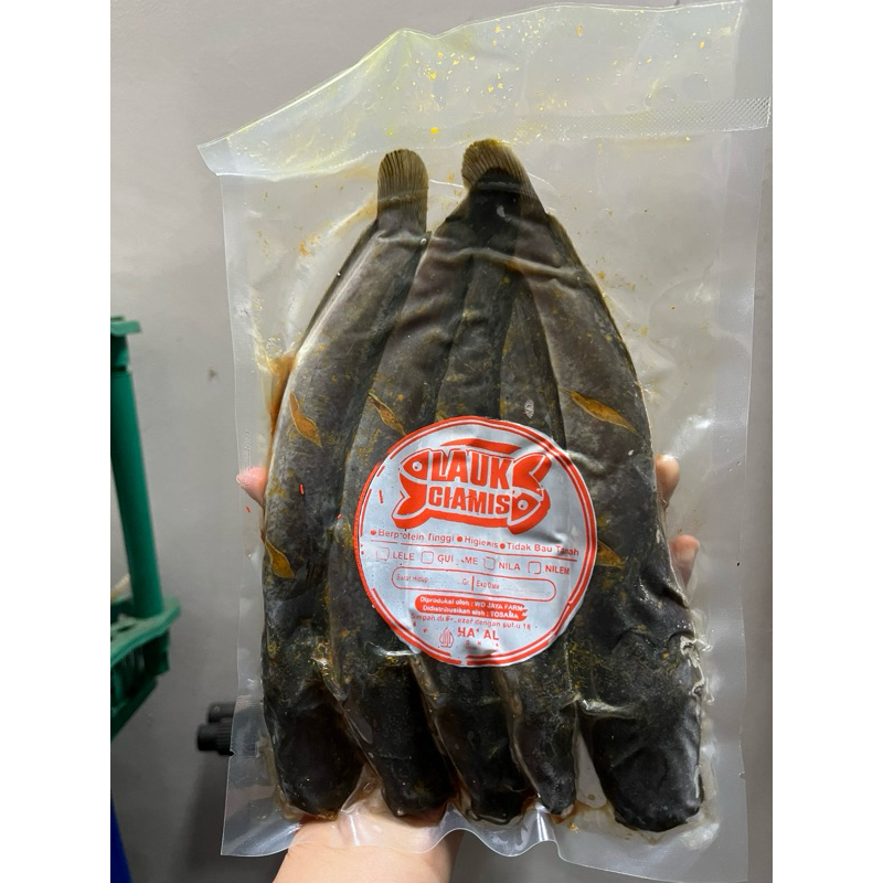 Jual Lele frozen marinasi berat 500 gr | Shopee Indonesia