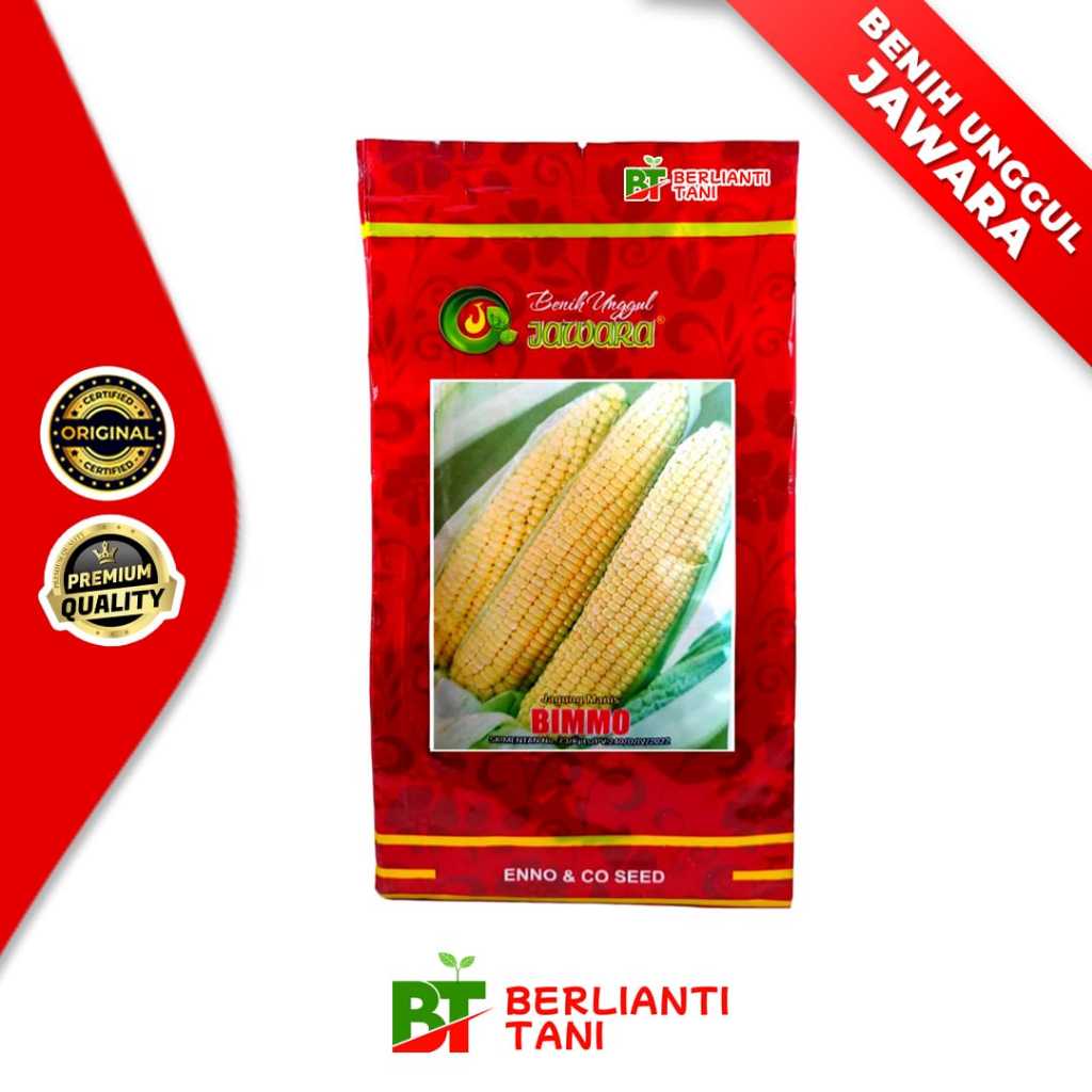 Jual BENIH JAGUNG MANIS BIMMO ISI 500 GRAM ( -/+ 3.500 Biji ) | Shopee Indonesia