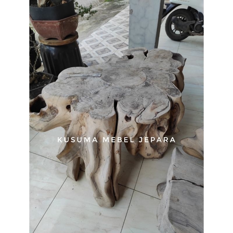 Jual Meja Tamu Bonggol Akar Kayu Sonokeling Solid/Utuh (Panjang 120cm ...