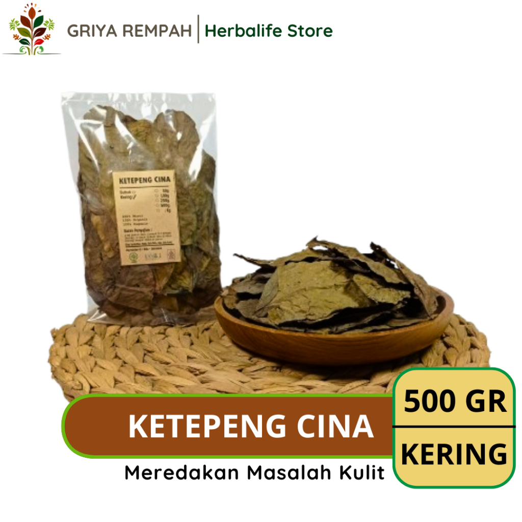 Jual DAUN KETEPENG CINA KERING 500 GRAM Kurap Kupang Rempah Herbal ...