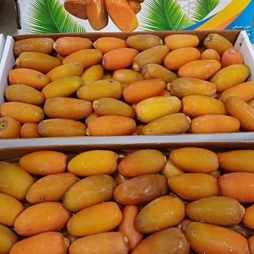 Jual Kurma Ruthob//Kurma Muda Libya Kemasan 1kg | Ruthob Libya | Shopee ...