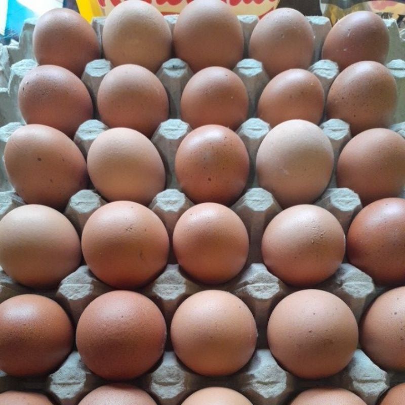 Jual Telur ayam lokal 1kg | Shopee Indonesia