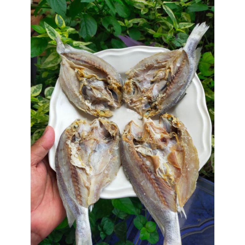 Jual Ikan Asin Gulama/Ikan Asin Samge/Ikan Asin Kepala Batu Belah Super ...