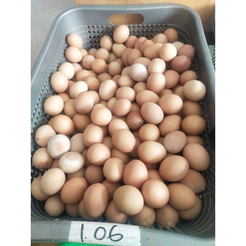 Jual telur ayam negeri per 1 kg (±16-17 butir) | Shopee Indonesia