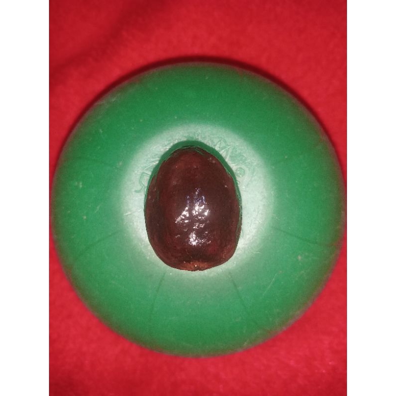 Jual Muncang aduan Jawa pedang kali wiro ORI ukuran jumbo | Shopee ...