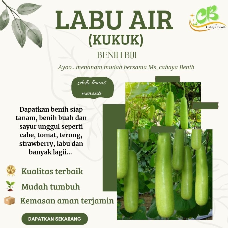 Jual Benih labu air / kukuk panjang isi (1000 butir) | Shopee Indonesia