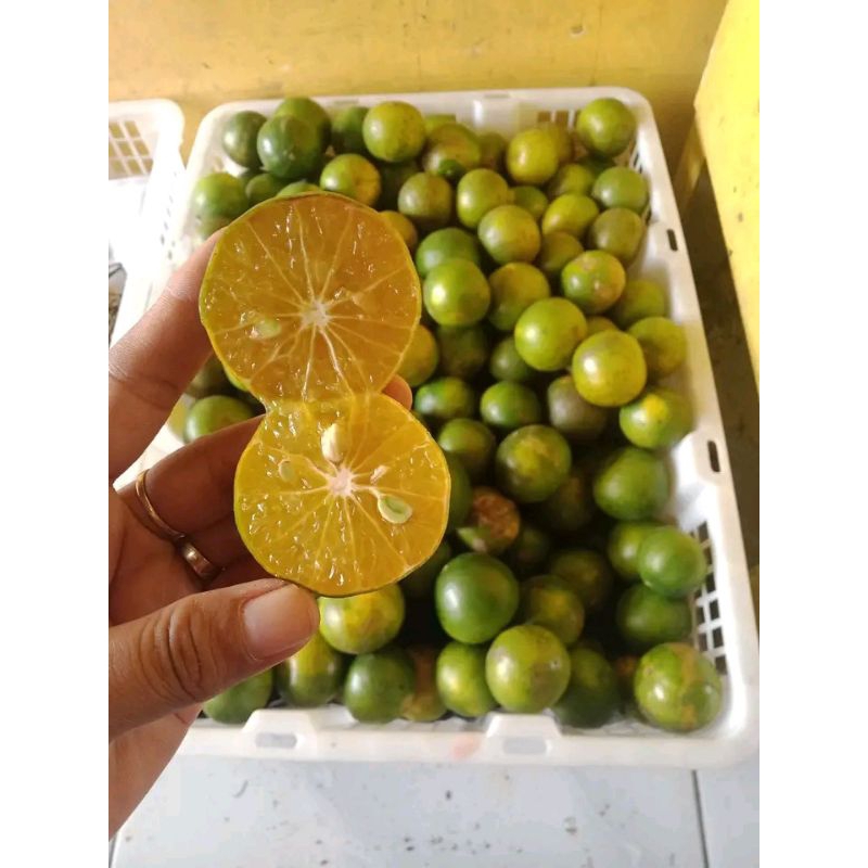 Jual jeruk peras jeruk kasturi 1kg jeruk minuman segar | Shopee Indonesia