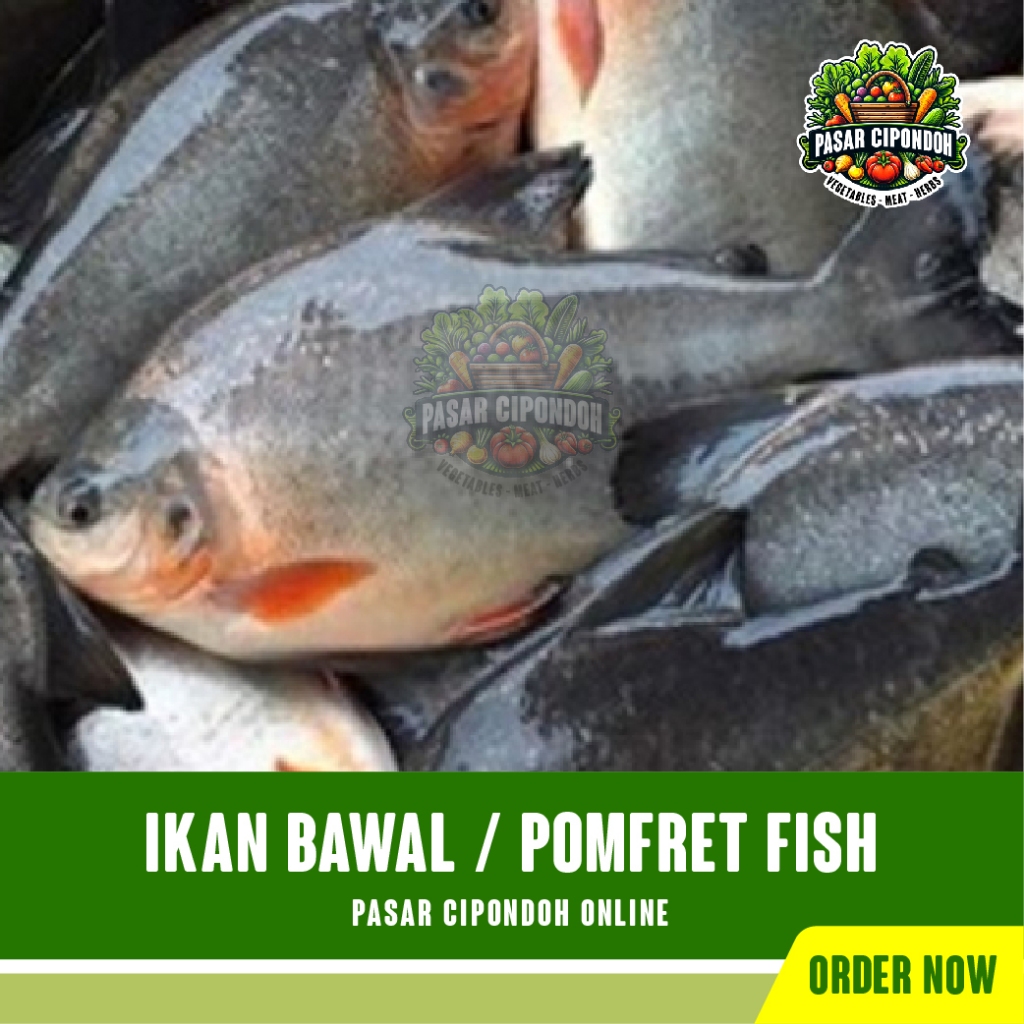 Jual Ikan Bawal Mentah Segar 500 gram / Pomfret Fish - Pasar Cipondoh ...