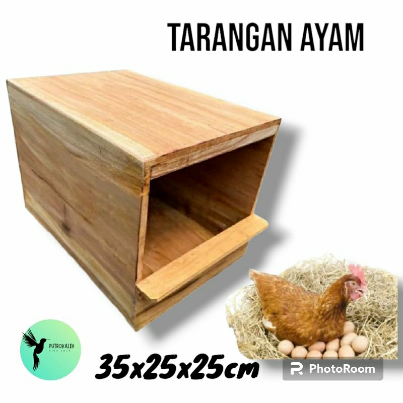 Jual Tarangan ayam kotak bertelur ayam | Shopee Indonesia