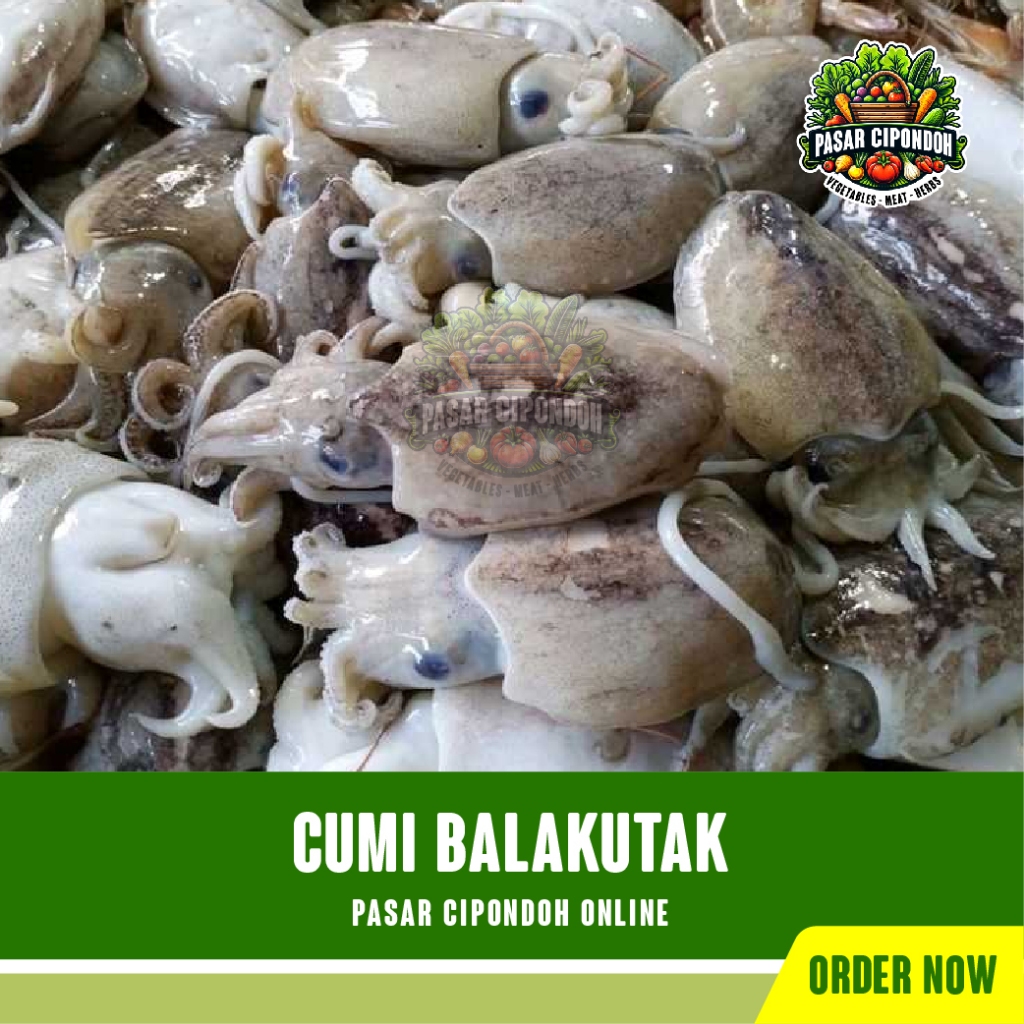 Jual Cumi Sotong Balakutak Mentah Segar 500 gram / 1 kg - Pasar ...
